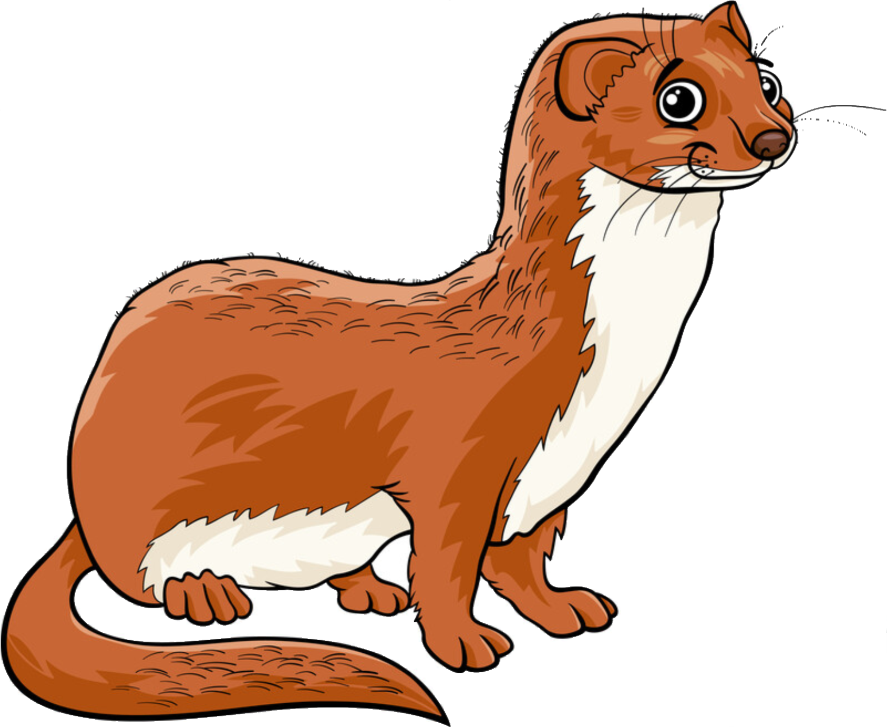 Weaselwear – TK Custom Designs